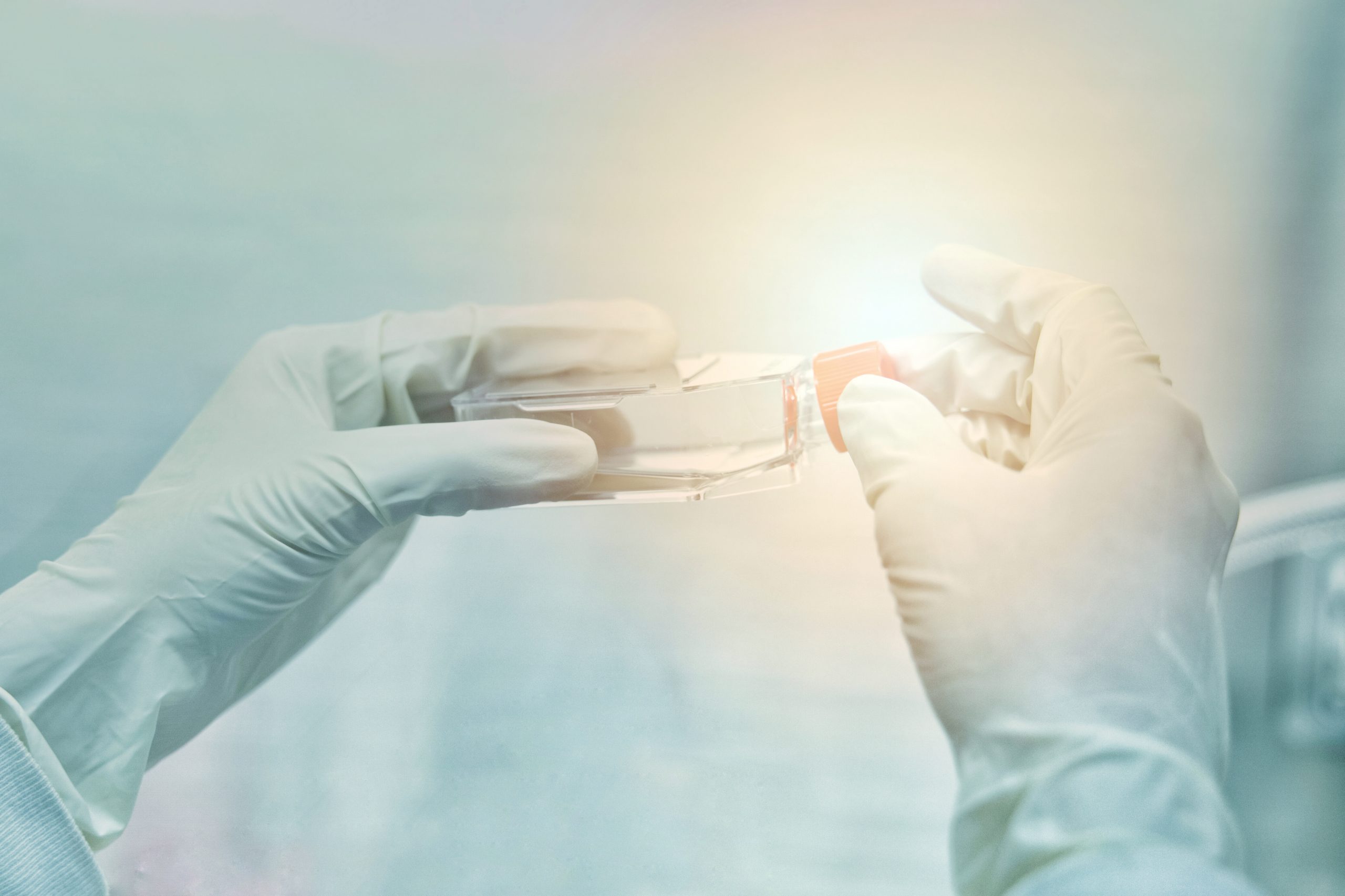 Stem cell and blood donor projects - Donor Research Network